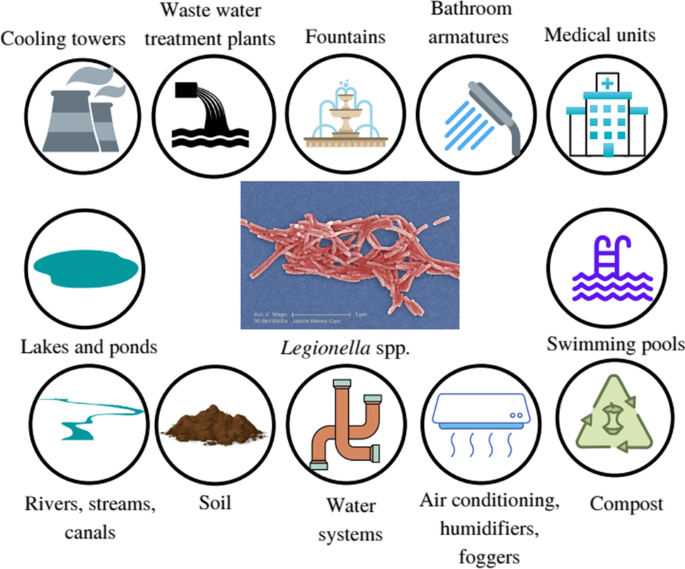 How To Prevent Legionella